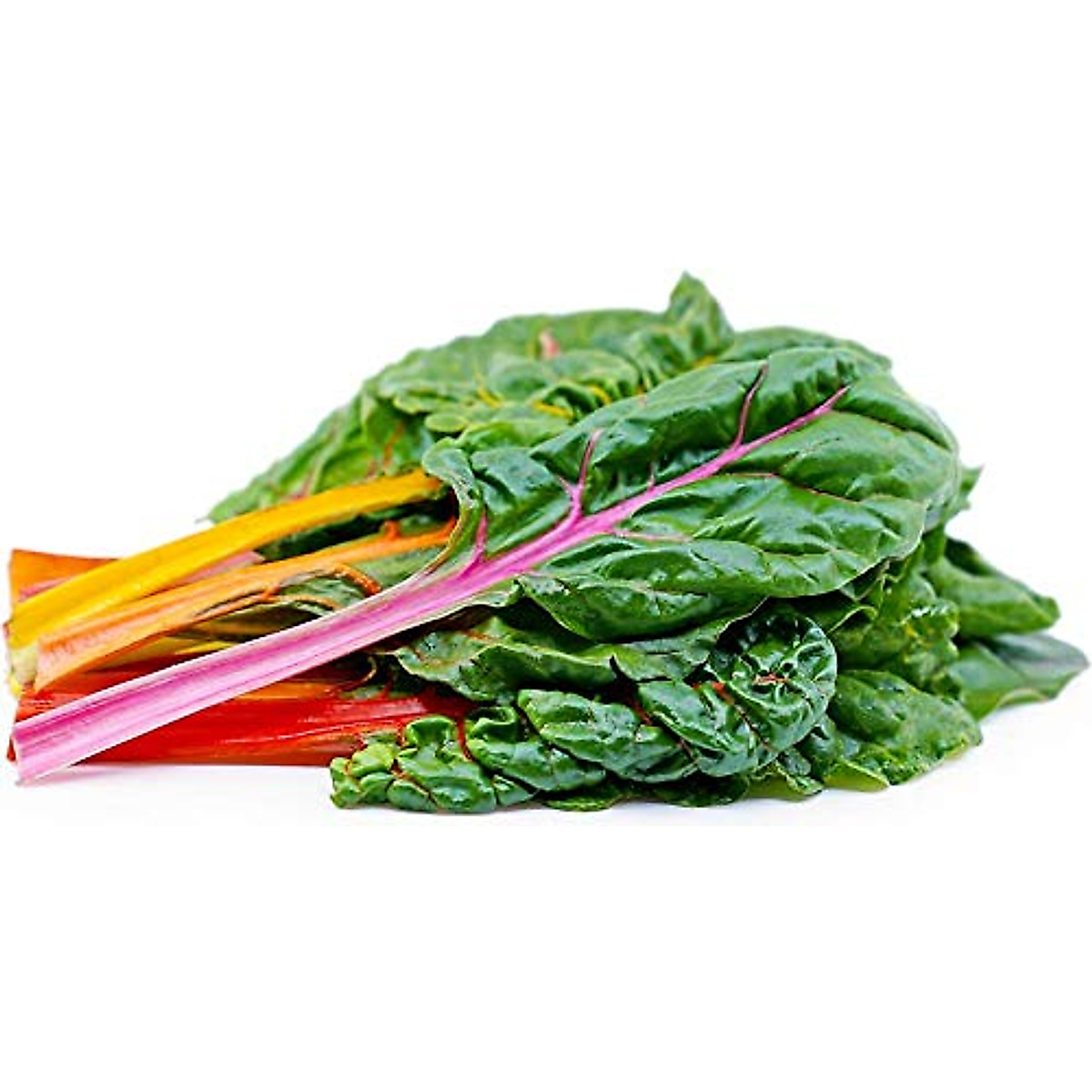 Rainbow Swiss Chard Seeds, 300+ Heirloom Seeds Per Packet, (Isla's Garden Seeds), Non GMO Seeds, Botanical Name: Beta vulgaris subsp. cicla