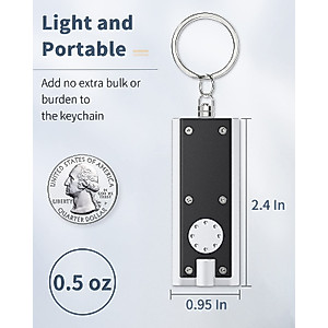 Uniclife 10 Pack Mini LED Keychain Flashlight 12 Lumen Portable Ultra Bright Light Battery Powered Flat Black Torch for EDC Outdoor Camping Hiking and Emergency Lighting (Batteries Included)