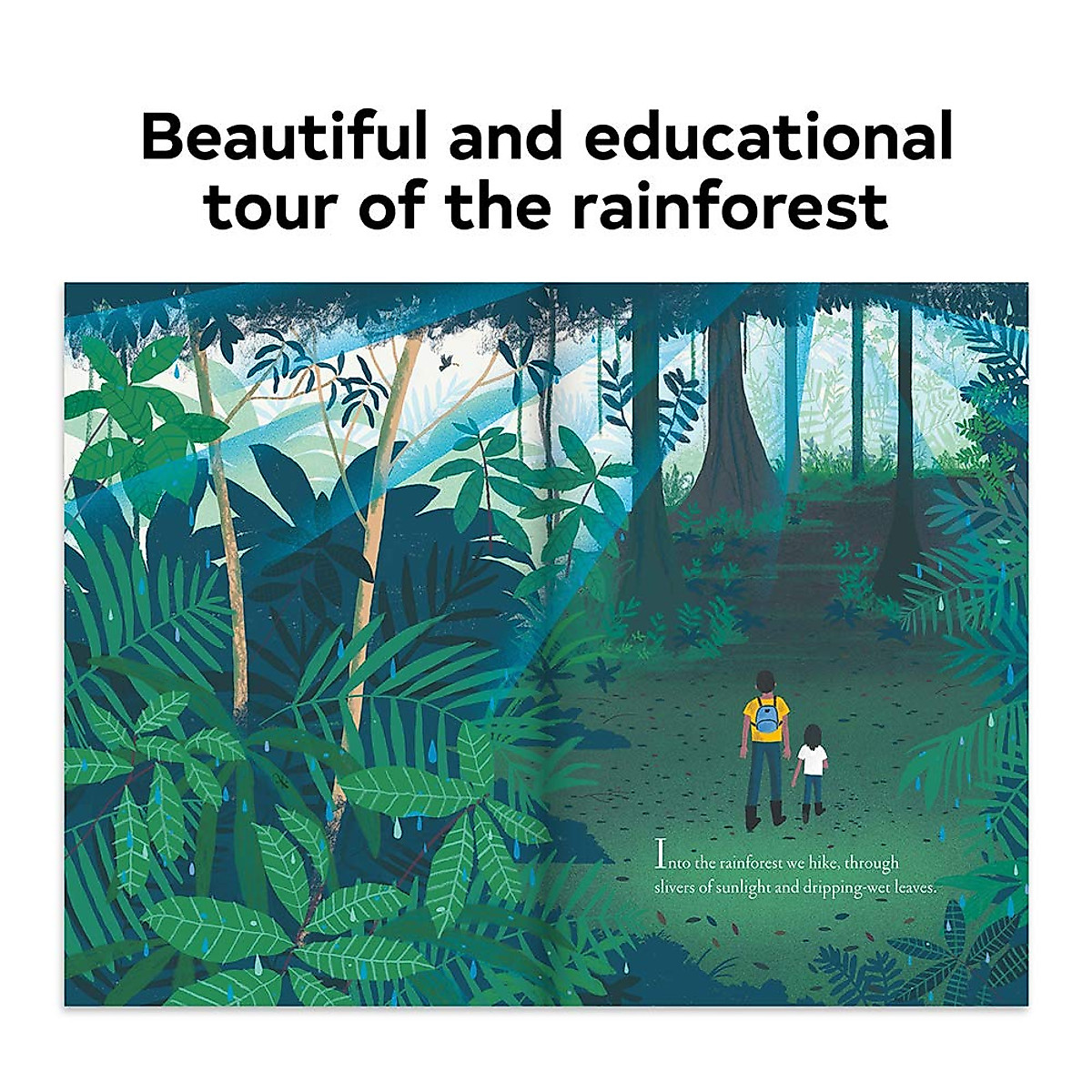 Over and Under the Rainforest