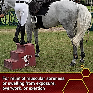 Vita Flex Thermaflex Liniment Gel for Sore Muscles and Joint Relief in Horses 12 Fluid Ounces
