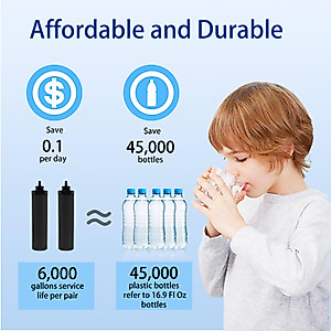 Renami Water Filter Replacement for BB9-2® Black Activated Carbon Filters, Compatible with Berkey® Travel, Large, Royal, Crown Series, Pack of 2