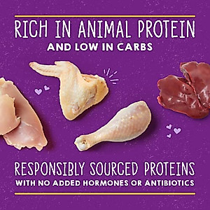 Stella & Chewy’s Carnivore Cravings Purrfect Pate Cans – Grain Free, Protein Rich Wet Cat Food – Chicken & Chicken Liver Recipe – (2.8 Ounce Cans, Case of 24)