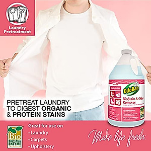 OdoBan Professional Series Cleaning 3-in-1 Carpet Cleaner Concentrate, 1 Gallon & Professional Cleaning Ready-to-Use BioStain and Odor Remover, 1 Gallon