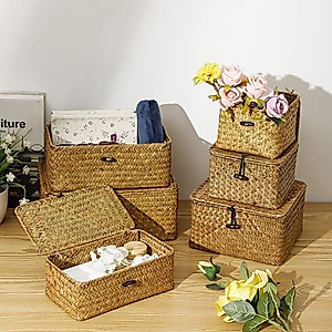 JIBIACB Hand Woven Baskets for Organizing,Storage Basket,Rattan-Style Storage Trunk,Rectangular Handwoven Seagrass Storage Basket with Lid (23x13x8cm)