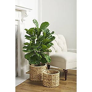 Mud Pie Hyacinth Beaded Basket Set, Brown, small 9" x 12" dia | large 11" x 14" dia