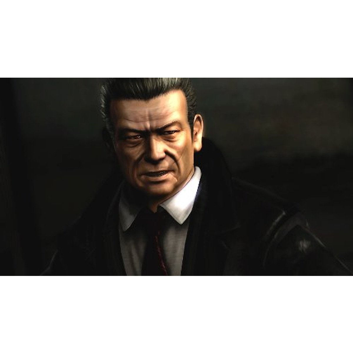 Ninja Gaiden 3 - Playstation 3