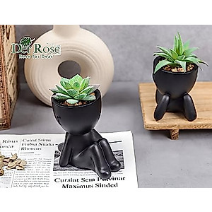 Der Rose Set of 2 Fake Plants Artificial Succulent Plants for Office Desk Accessories Bathroom Home Room Aesthetic Decor Indoor