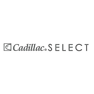 Cadillac Select Leather Lotion Cleaner and Conditioner- for Handbags, Sofas, Jackets, Furniture, Purses, and More
