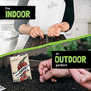 Tomato Seeds for Planting Variety 7 Pack - Cherry, Brandywine Beefsteak, Yellow Pear, Golden Jubilee, Plum Roma, Tomatillo Verde, Ace 55 - Heirloom Tomato Seeds for Your Organic Garden - 100% Non GMO