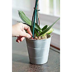 Miracle-Gro Orchid Plant Food Spikes (3)