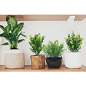 6 Bundles Artificial Greenery Stems Mixed Fake Plants Eucalyptus Rosemary Magnolia Stems Faux Plastic Artificial Plants for Outdoor Indoor Garden Home Window Box Decor