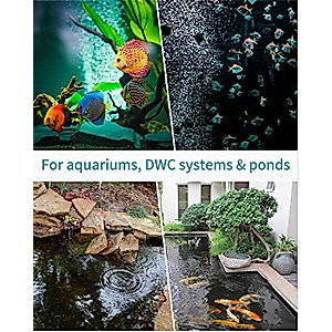 Pawfly Aquarium 12 Inch Air Stone Bar Bubble Diffuser Release Tool with Suction Cup Clip Accessory for Air Pumps DWC Systems Fish Tanks and Small Garden Ponds