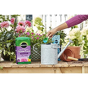 Miracle-Gro Water Soluble Bloom Booster Flower Food - Big Blooms for Vibrant Color, 5.5 lb.
