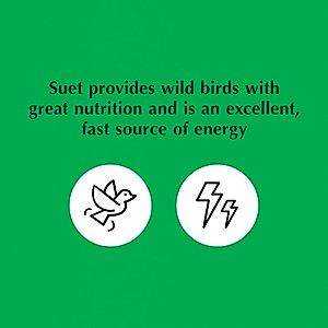 C&S Wild Bird Bluebird Suet Nuggets Mega Box, 8 Pounds