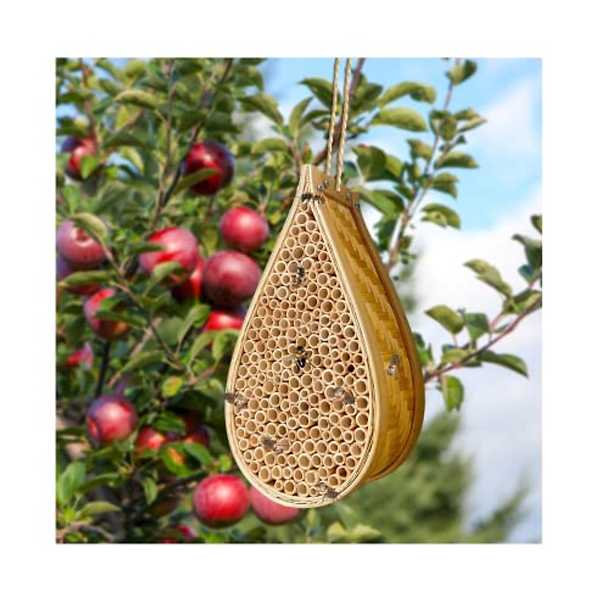 Mason Bee Houses for the Garden Handmade Bamboo Carpenter Bee House Hanging Outside, Dew Drop Waterproof Beehives for The Garden Attracts Peaceful Bee Pollinators to Enhance Your Garden's Productivity