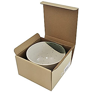 Studio Ghibli via Bluefin Porcelain My Neighbor Totoro Traditional Japanese Dish Series - Bowl [Sakura/Cherry Blossom] - Official Studio Ghibli Merchandise