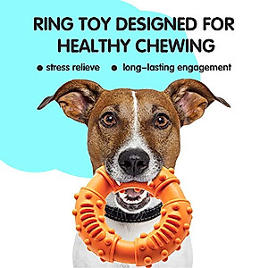LEGEND SANDY Puppy Chew Toys for Teething, 14 Pack Dog Chew Toys for Small Dog, Dog Toy for Boredom and Stimulating,Pet Toys for Small Breed with Dog Ball,Tug of War Rope Toys Squeaky Plush Toy