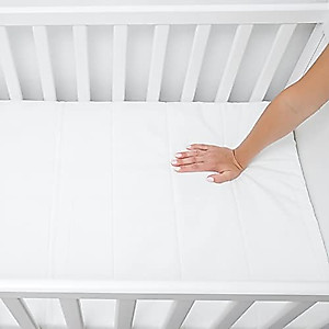 Deluxe Vinyl Zippered Crib Mattress Cover Full Encasement 28" x 52" Standard Size Waterproof (28" x 52", Zippered Crib Mattress Cover)