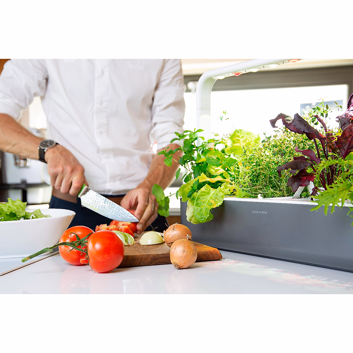 Click & Grow Indoor Herb Garden Kit with Grow Light | Easier Than Hydroponics Growing System | Smart Garden for Home Kitchen Windowsill | Vegetable & Herb Garden Starter Kit with 9 Plant pods, Gray