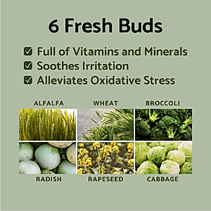 IUNIK Propolis Vitamin Glow Sleeping Mask Night Moisturizer Cream 2.03 Fl Oz Overnight Moisturizing cream Tea Tree Centella Asiatica Extracts Anti-Sagging Even Tone Rehydrate Firm Maturing Skin VEGAN