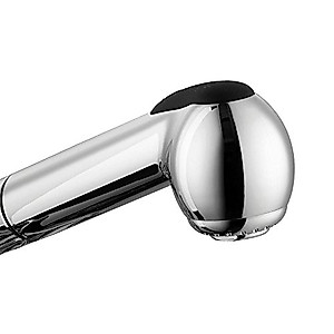 Glacier Bay Pull-Out Laundry Faucet