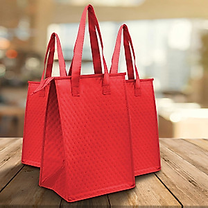 Zipper Insulated Lunch Tote Bags Set of 10, Bulk Pack - Perfect for Work, Travel, Outdoor Events - Red