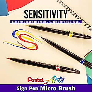 Pentel Arts Sign Pen Micro Brush Tip, Assorted Colors (A/B/C/D/E/F/G/N/P/S/V/Y), 12-PK Plastic Box (SESF30CPC12)