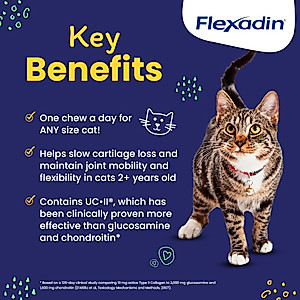 Vetoquinol Flexadin Cat Hip and Joint Support Chew with UC-II, Cat Joint Supplement, Clinically Proven and Veterinarian-Developed Formula for Hip and Joint Support Cats, 30 Count Bag