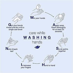 Dove go fresh Refreshing Body Wash Revitalizes and Refreshes Skin Cucumber and Green Tea Effectively Washes Away Bacteria While Nourishing Your Skin 12 oz