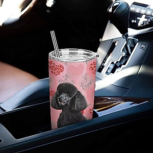 20 Oz Tumbler With Straw Leak Proof Thermos Cup, Poodles Dogs Stainless Steel Insulated Travel Coffee Mug Fit for Car Cup Holder