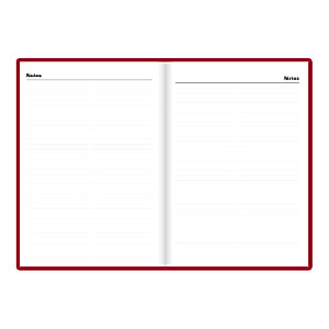 Letts of London Standard Daily Planner, 12 Months, January to December, 2024, Day-Per-Page, A5 Size, 8.25" x 5.875", Burgundy (C10XBY-24)
