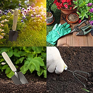 Garden Hand Tool Set with Canvas Tote, Ultimate Gardening Tools Kit, Branch Pruner & Snip, Shovel, Rake, Trowel, Soft Wire Tie and Water Bottle in a Durable Canvas Tote