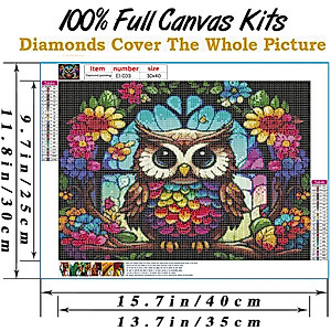 EIBEILI Diamond Painting Kits for Adults Stained Glass Owl DIY 5D Diamond Art Kits for Beginners Full Drill Diamond Dots Crystal Craft Kits for Home Wall Art Bedroom Decor Gifts 15.7x11.8 inch