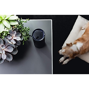 KeySmart Cleanlight Air