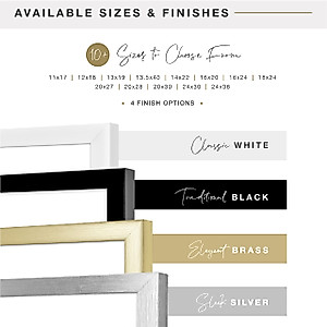 MCS Foundation 16x20 Poster Frame Traditional Brass, Vertical & Horizontal Wall Hanging Large Picture Frame for Photos, Posters & Art Prints (1-Pack)