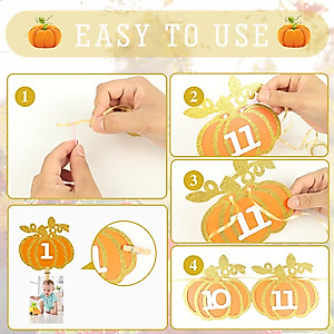 Fall Pumpkin 1st Birthday Photo Banner Autumn Pumpkin Birthday Photo Banner for Newborn to 12 Months Milestone Photograph Bunting Garland for Baby Boy Girl 1st Birthday Party Supplies