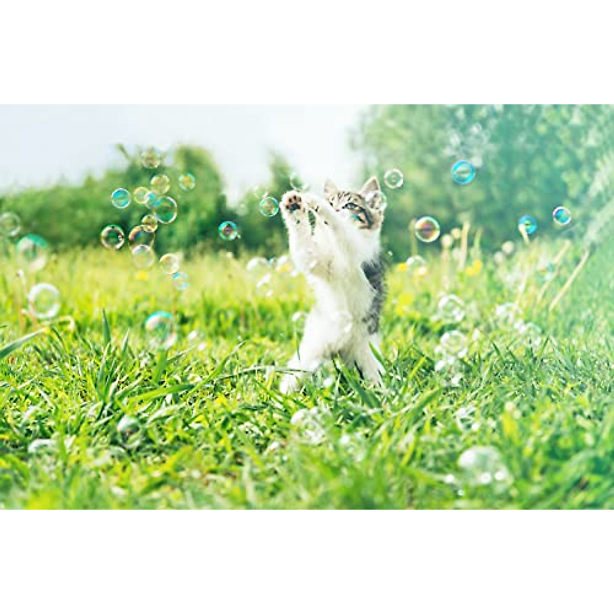 iwanga Catnip Bubbles Catnip Toys for Cats 4oz*2- Unbelievable Catnip Flavor Bubble for Cats -Non-Toxic Formula,Let The cat Chase Avoids Boredom & Keeps Pets Active.