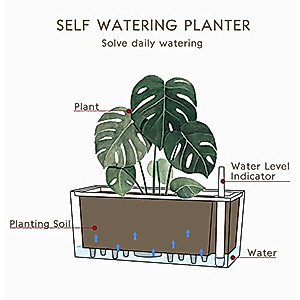 SAROSORA 14" Rectangle Self Watering Planter with Water Level Indicators for Plants & Flower Home Garden Outdoor Indoor Succulent | Herb pots | Window Box (1, White)