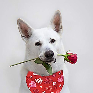 Pohshido 2 Pack Valentine's Dog Bandana, Holiday Cat Bandana Scarfs for Small Medium Large Dogs Cats Pet Puppies (Candy Hearts-Small)