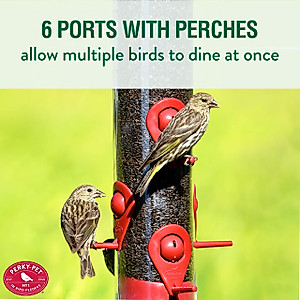 Perky-Pet 3264 Red Wild Bird and Finch Feeder