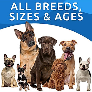 BARK&SPARK Dog Allergy Relief Chews (180 Immune Treats) - Anti-Itch Skin & Coat Supplement - Omega 3 Fish Oil - Itchy Skin Relief Treatment Pills - Itching&Paw Licking - Dry Skin & Hot Spots