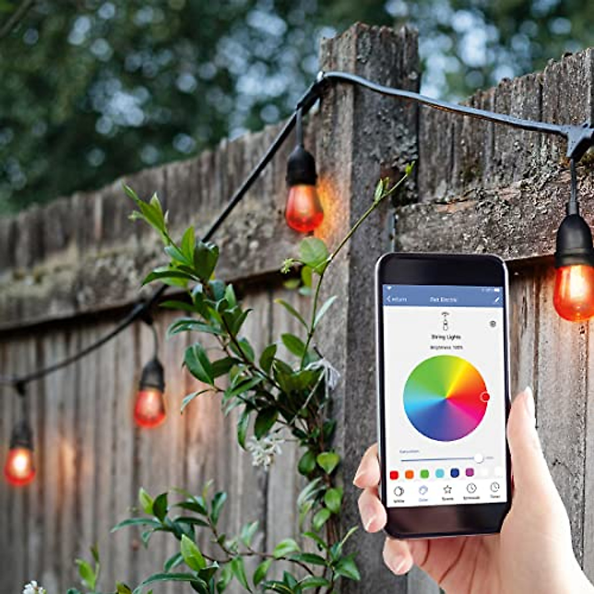 Feit Electric 24" 12pc. Light Color Changing Smart WiFi String Lights with Scheduling Features and Works with Alexa/Google Assistant, Heavy Duty and Weather Resistant - Clear Bulb - SL24-12/RGBW/AG