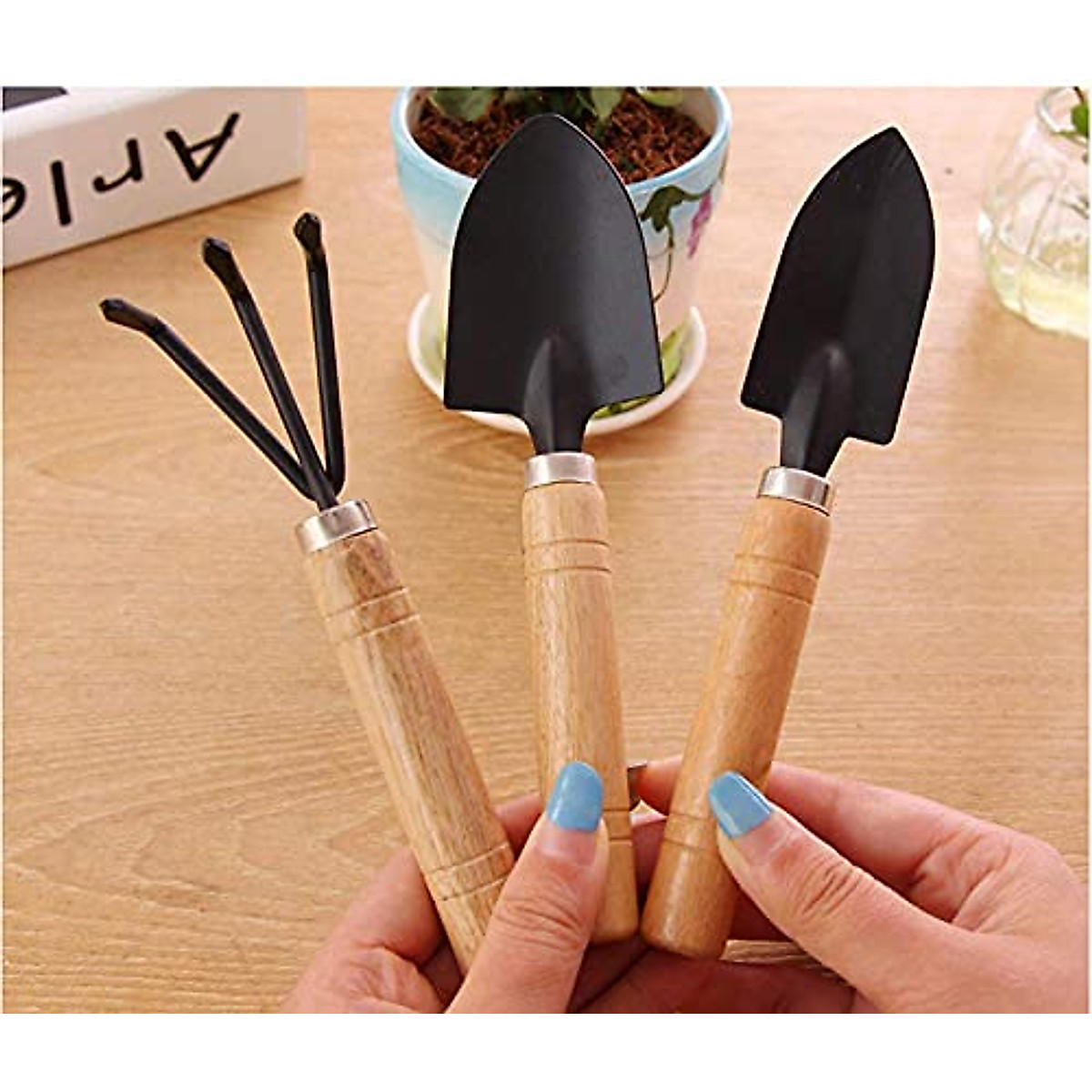 TPELKY Mini Garden Tools Set of 3 Mini Garden Tools Spade/Rake/Spade set of gardening tools
