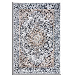 Rugs for Living Room 8x10 Area Rugs: Large Rug Machine Washable with Non-Slip Backing Non-Shedding Stain Resistant, Boho Carpet for Bedroom Dining Room Nursery Home Office Indoor Decor (Blue/Brown)