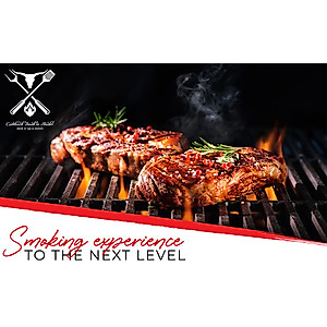 Jax Smok'in Tinder Fine BBQ Smoker Wood Chips - Sampler Pack for Electric Smokers, Indoor Stove Top Smoker, 6 Packs of Scented Chips, BBQ Accessories (Apple, Post Oak, Pecan, Hickory, Cherry, Maple)