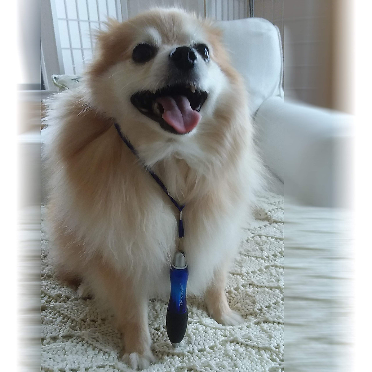 Super Big Fat Pens for Arthritis, Black Ink, Blue body (pack of 5 pens + 5 Extra Ink Refills)