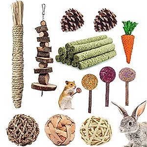 SOYANGNEK Hamster Chew Toys 12PCS Bunny Toys for Rabbits Guinea Pig Toys Natural Timothy Hay Sticks Chinchilla Toys for Teeth Handmade Bunny Treats Gift Apple Wood Sticks Hamster Rat Gerbil