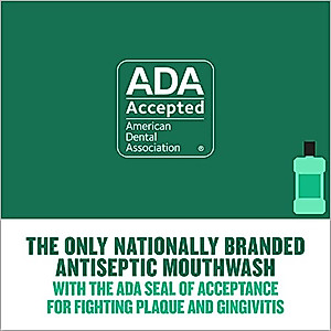 Listerine Freshburst Antiseptic Mouthwash for Bad Breath, Kills 99% of Germs That Cause Bad Breath & Fight Plaque & Gingivitis, ADA Accepted Mouthwash, Spearmint, 1 L, Pack of 2