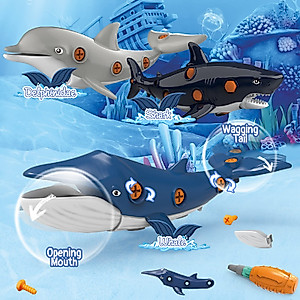 KAEGREEL Take Apart Shark Toys for Kids, Construction Take Apart Ocean Fish Toys with Electric Drill Screwdrivers, STEM Learning Building Toys for Boys Girls Birthday Gift Aged 3 4 5 6 7 8 Year Old