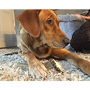 Mountain Dog Chews - Large Split Elk Antler - Elk Antler Dog Chew - Grade A Premium - Organic - Made in USA - No Mess